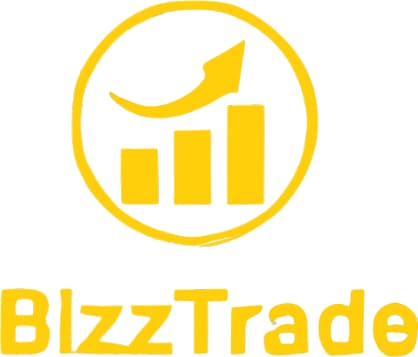 BizzTrade LTD怎么样？全面了解bizzglobalfx.com的经营状况、评分、评价及所在行业梯队