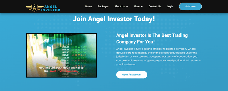 Angel Investor