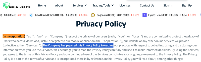Reseña Bull Mints Fx 2026: Estatus No Regulado y Riesgos de Trading