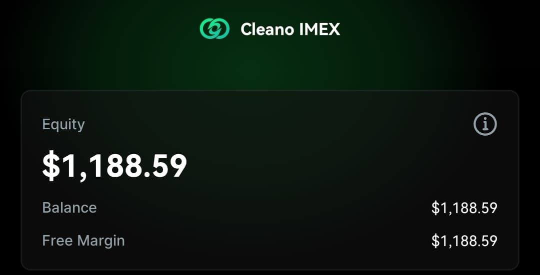 CLEANO IMEX INC Review 2025: Explore cleanoimex.com’s Ratings & Risk ...